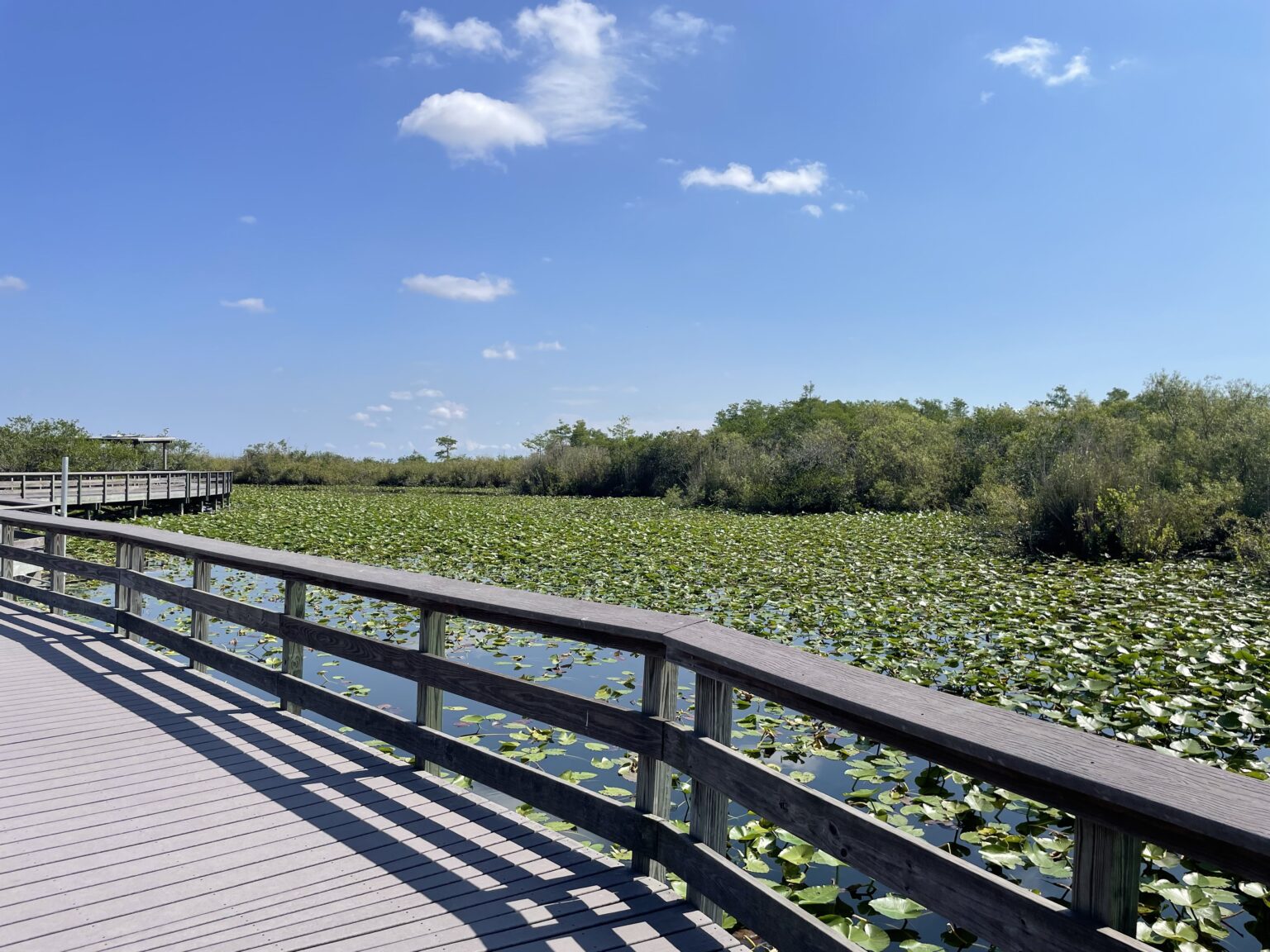Everglades To The Keys: Fast Trip Must See - Six Star Family Fun