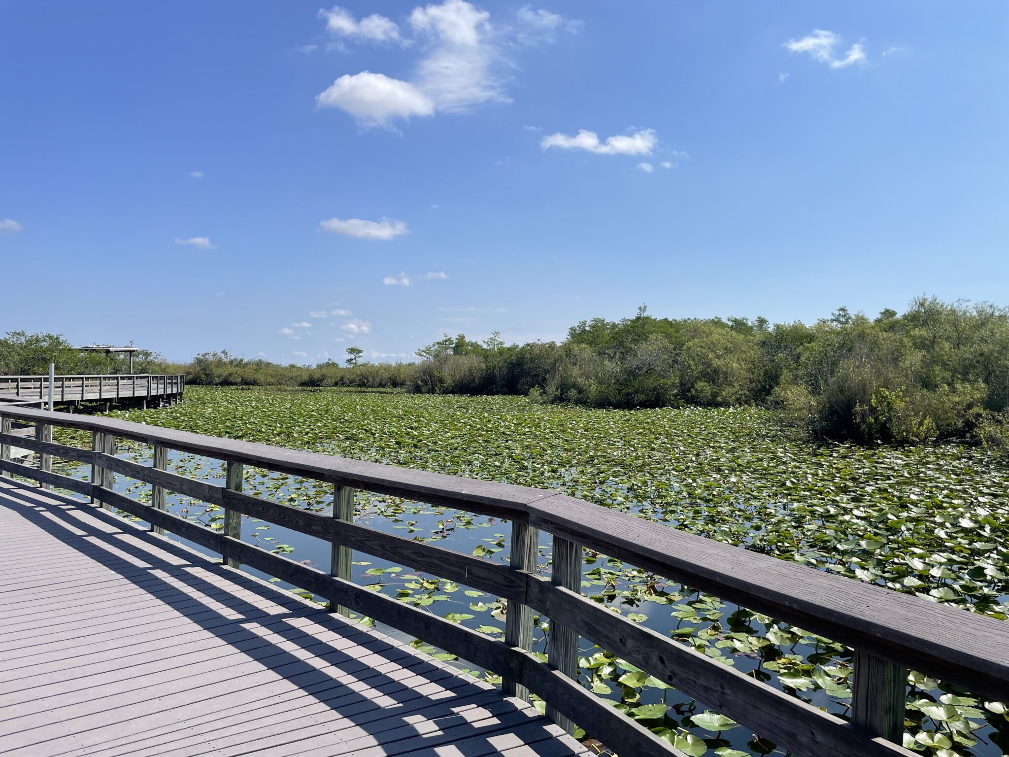 Everglades To The Keys: Fast Trip Must See - Six Star Family Fun