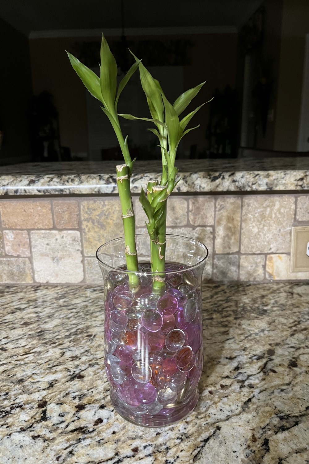 How To Make Lucky Bamboo Gifts That's Sure To Impress - Six Star Family Fun